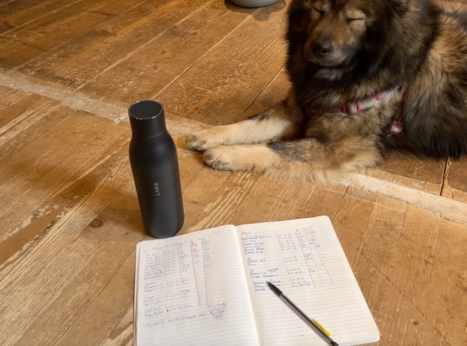 Mind Pump Maps Anabolic A Detailed Review