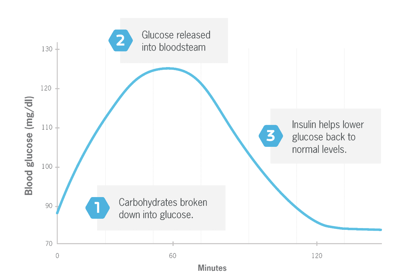 I Tried A Continuous Glucose Monitor For 30 Days - My Honest Review ...